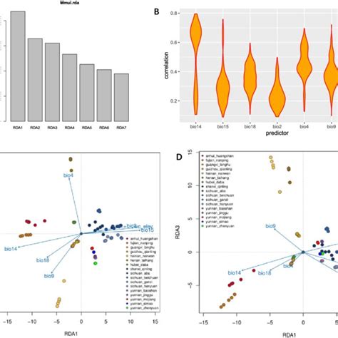 Rda Identified Potentially Adaptative Snps A Variance Explained By
