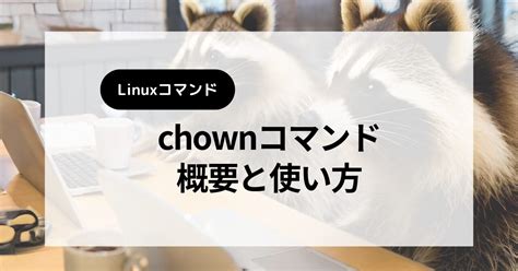 [linuxコマンド]chownコマンドの概要と使い方 やすひらブログ