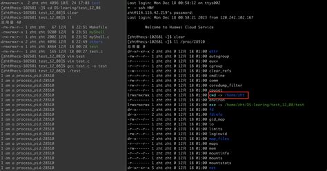 【linux】模拟实现shell命令行解释器