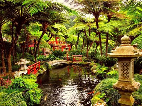 Zen Garden Wallpapers