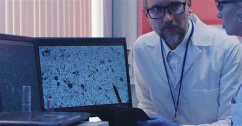 Uso de herramientas Bioinformáticas para la búsqueda de insecticidas