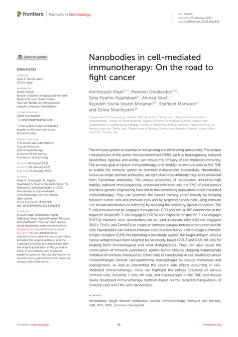 Pdf Nanobodies In Cell Mediated Immunotherapy On The Road To Fight