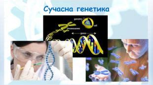 Презентація: " Основні поняття генетики"