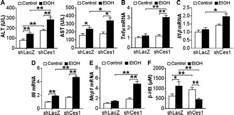 Hepatic Ces1 Deficiency Exacerbates Alcohol Induced Liver Inflammation
