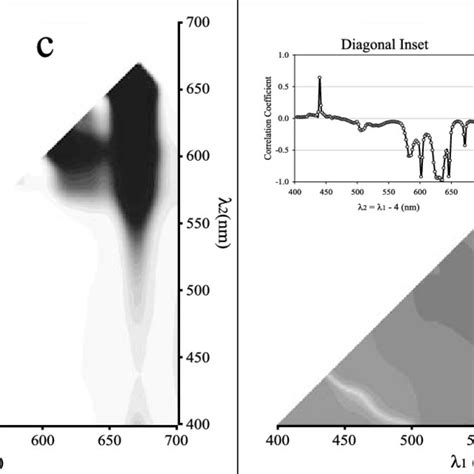 Observed And Modeled Correlation Surfaces Of Normalized Difference