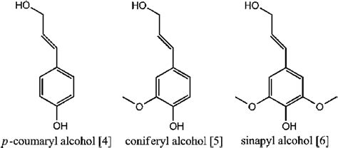 The Aromatic Monolignol Monomers Of Lignin Download Scientific Diagram