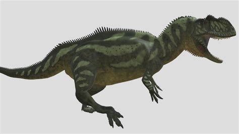 Yangchuanosaurus 3d Models Sketchfab