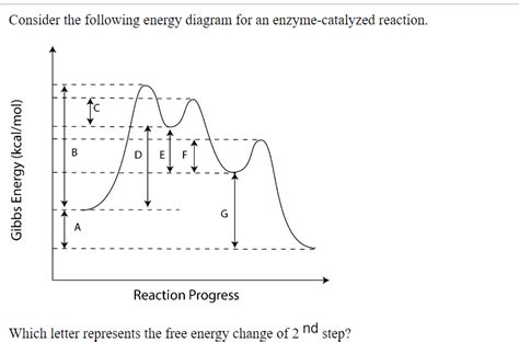 Diagram Of Enzyme Catalyzed Reaction