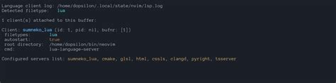 Lsp Pidnil Detrimental Or Not Rneovim
