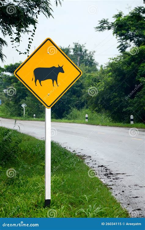 Beware Of The Cow Sign Stock Image Image Of Countryside 26034115