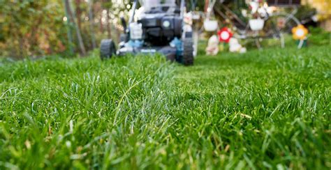 Can You Cut Wet Grass Expert Tips For Mowing After Rain Woman And Home