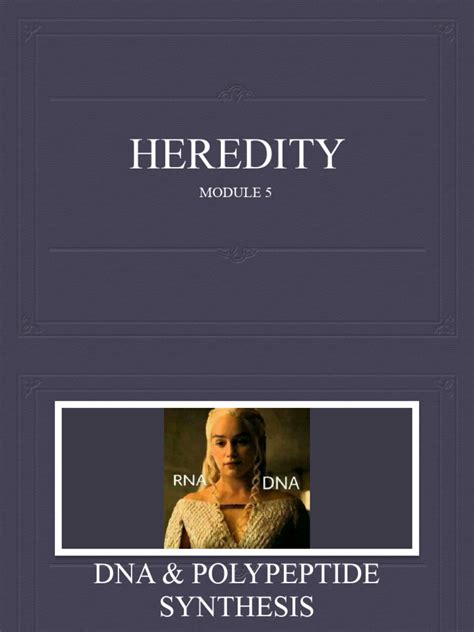 Heredity 3 Pdf Translation Biology Genetic Code