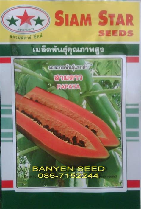 ขายเมล็ดพันธุ์มะละกอแขกดำ ราคาถูก แหล่งรวมเมล็ดมะละกอแขกดำ มีหลายร้าน