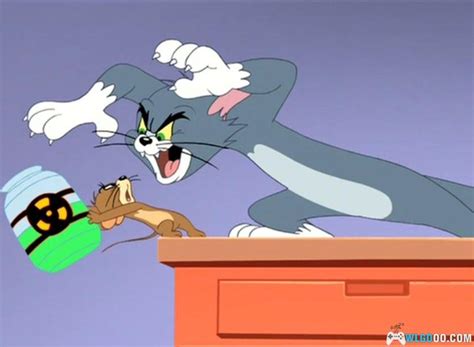 动画《猫和老鼠》tv版1 14季全集 1940 ｜中英双语 方言版 围炉go
