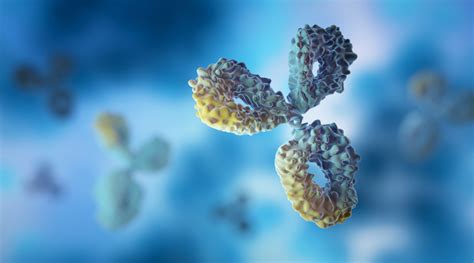 Novel Trispecific Antibody Offers New Path Forward For Patients With