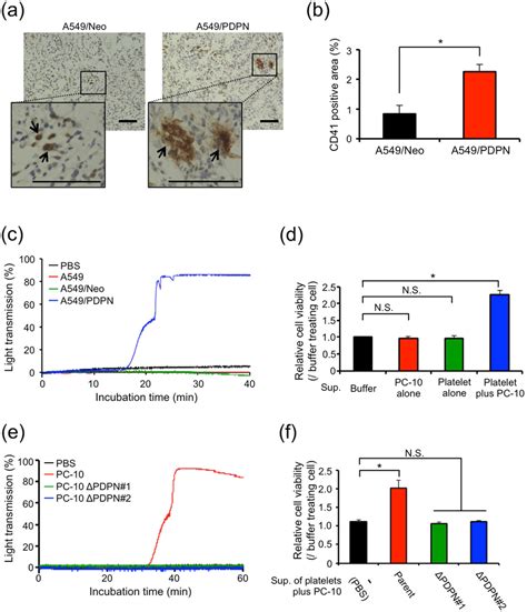 Podoplanin Promotes Cell Growth By Enhancing Soluble Factor Secretion