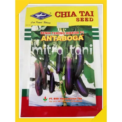 Jual Benih Terong Ungu Hibrida F1 ANTABOGA 10gram Dari CAP KAPAL