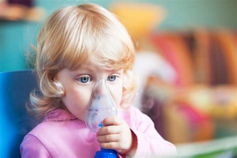 Croup Kiwi Families