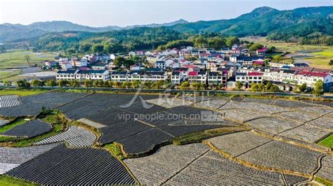 江西峡江：春耕“五线谱” 人民图片网