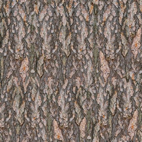 Tree Texture Seamless