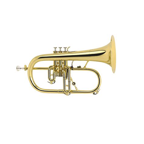 Blaasinstrumenten Muziekacademie