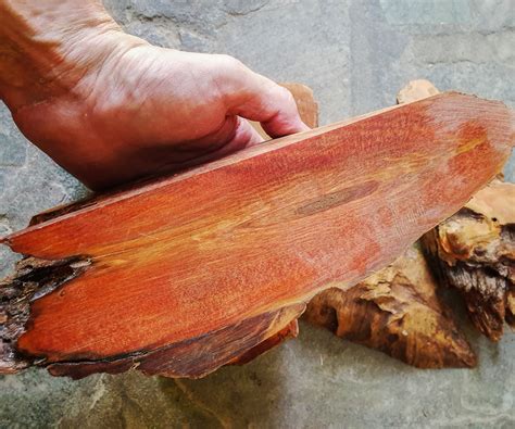 Parana Pine The Wood Database Softwood