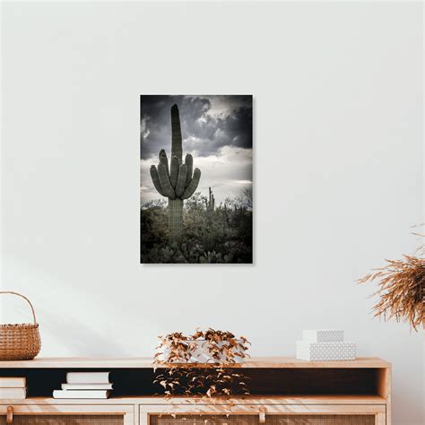 Marc Rasmus Giant Cactus