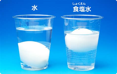食塩水のびっくり実験実験しよう やってみよう水の自由研究 サントリー水育