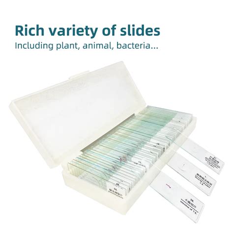 Medical Teaching Pathological Histology Slide Preparation Specimen