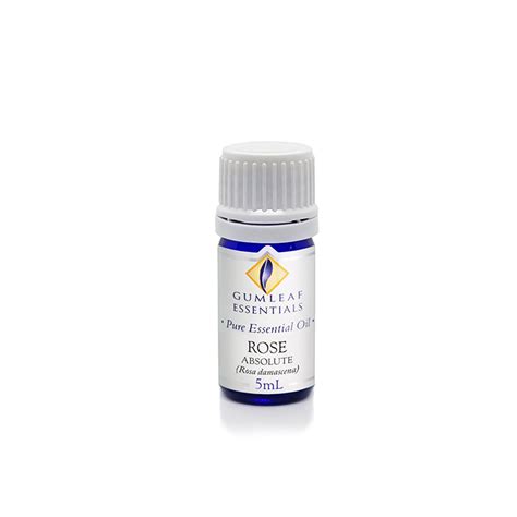 Rose Absolute Essential Oil 5ml Essential Oil Shop