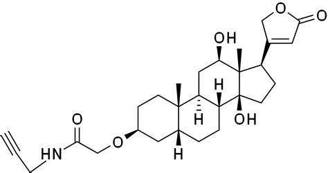 地高辛炔烃 西安百萤生物科技有限公司