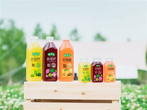 想要清爽一夏，快来试试植然乐轻果汁吧可叹落叶飘零 站酷zcool