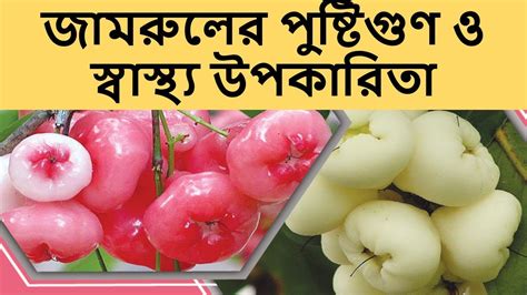 জামরুলের পুষ্টিগুণ ও উপকারিতাজামরুল খাওয়ার উপকারিতাjamrul Benefits