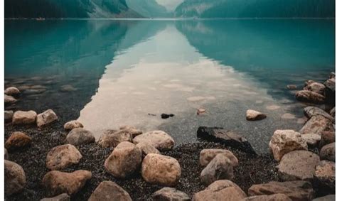 Distributional Reinforcement Learning