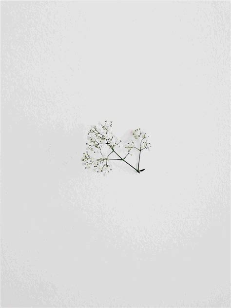 600 Minimalist Aesthetic Wallpapers Wallpapers