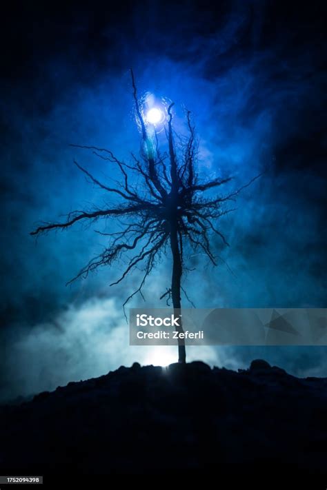 暗い霧のトーンの背景に恐ろしいハロウィーンの木と恐怖の顔裏側に月を持つシルエットゾンビとモンスターの悪魔の顔を持つ怖いホラーツリー かすみ