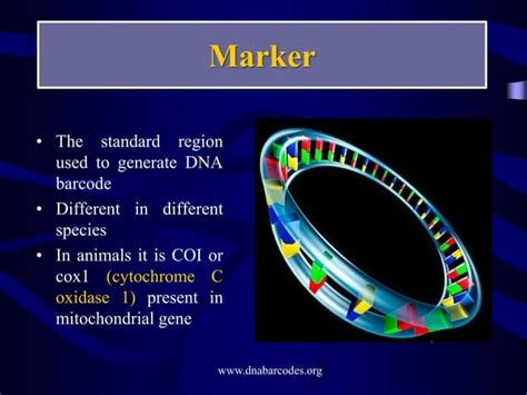Dna Barcoding In Animals Ppt