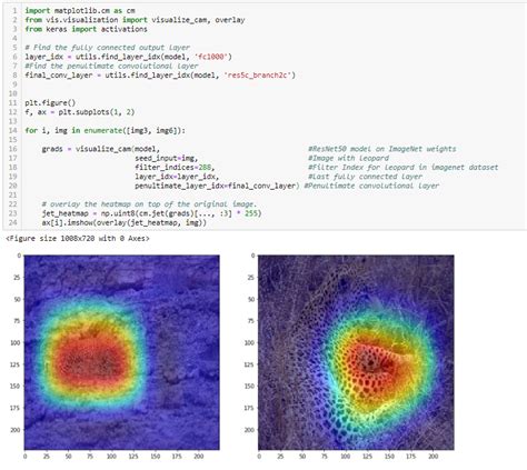 Visualizing Class Activations With Keras Vis Hands On Neural Networks With Keras