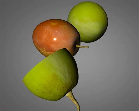 Jujube D Model Flippednormals