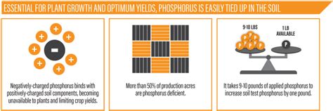 Trivar Unlocking Phosphorus And Micronutrient Availability Stutsmans