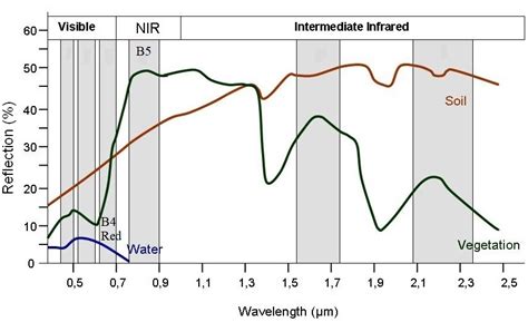 Image Analysis And Mapping In Earth Engine Using Ndvi