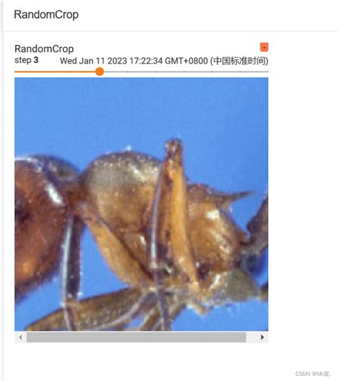 【学习笔记】【pytorch】三、常用的transformstransform模块 Csdn博客