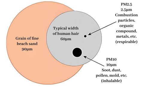 Particulate Matter Pm25 And Pm10 Download Scientific Diagram