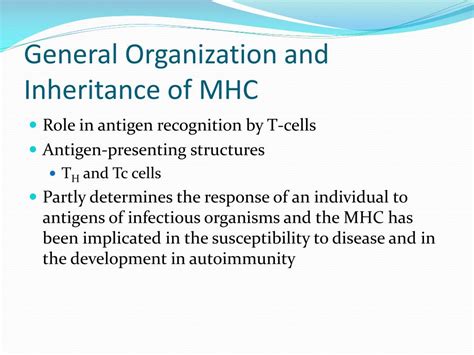 PPT MHC PowerPoint Presentation Free Download ID 1964975