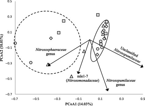 Principal Coordinate Analysis Plot Of Ammonia Oxidizing Communities
