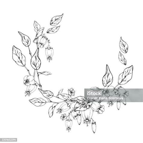 블루 베리 화이트 라인 종꽃과 새싹 가지에 식물 잎 손으로 그린 잉크 벡터 야생화 식물 그림 고립된 화환 프레임 결혼식 꽃집 스크랩북 0명에 대한 스톡 벡터 아트 및 기타
