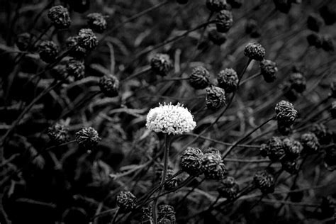 How To Find Your Key Differentiator — A Step By Step Guide