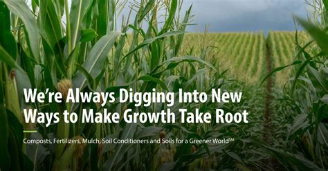 Events From November 14 September 24 Greener World All Rights