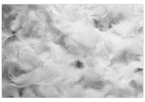Slika Oblaci Od Perja 90x60 Cm Favihr