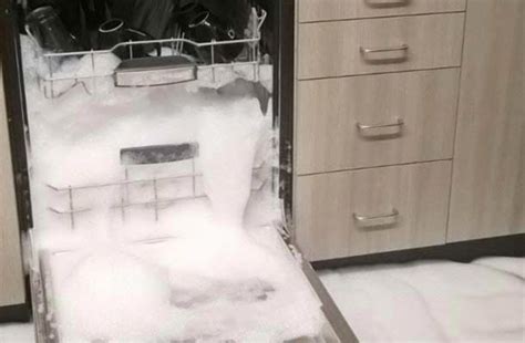 Dishwasher Overflow Fixing In Garland Tx 24 7 Services